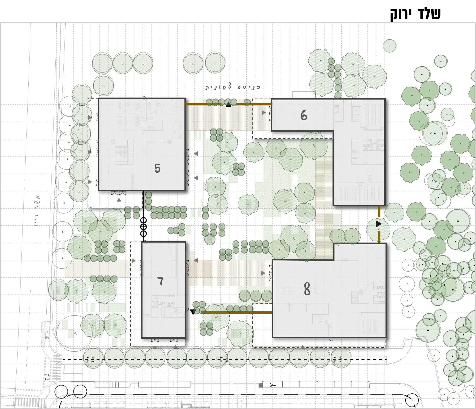 Afeka Campus - אב אדריכלות